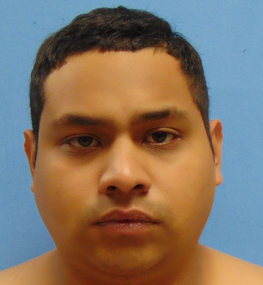 Pedro Luna Charged With Possession With Purpose To Deliver Meth, Other ...