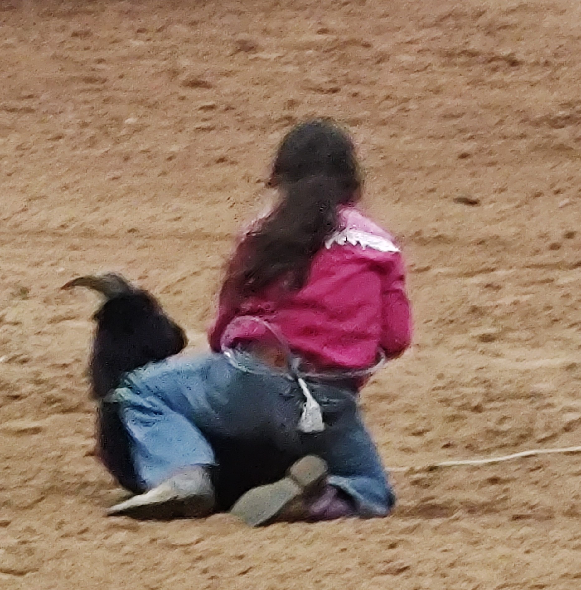 Hope FFA Rodeo A Big Success – Hope Prescott
