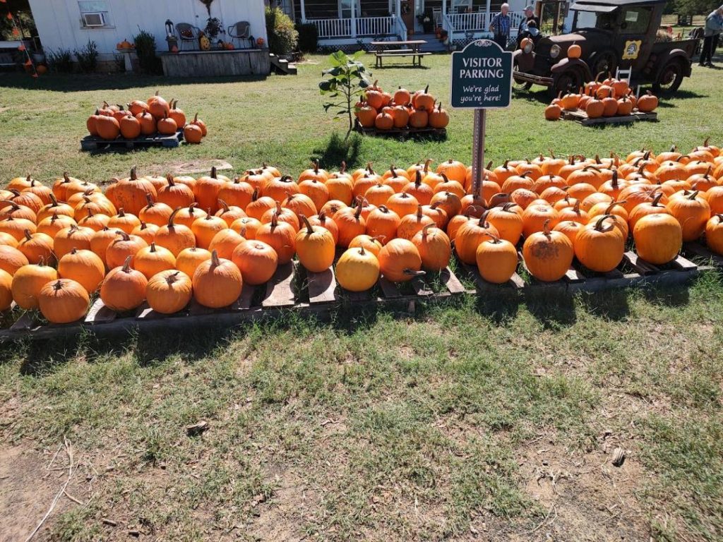 Miracle Farms at Bodcaw Holding “Fall Family Fun Days” – Hope Prescott