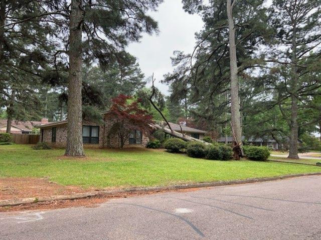 Pine Tree Hits House in Strong Edition in Hope – Hope Prescott