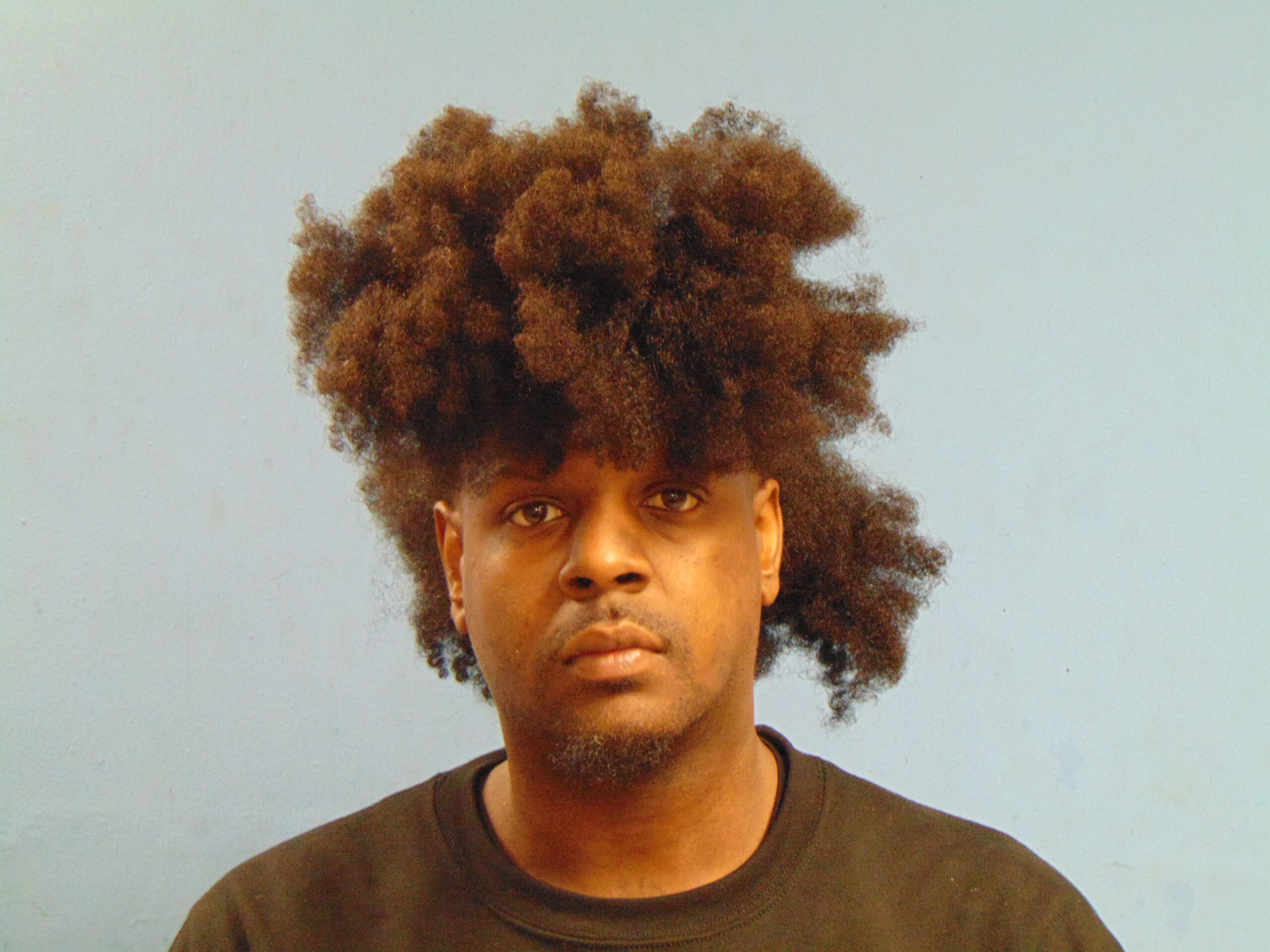 Felony arrest made in Hope – Hope Prescott